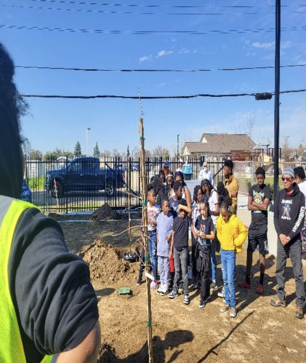 Adopt a Tree Fresno tree planting – Central California Environmental ...